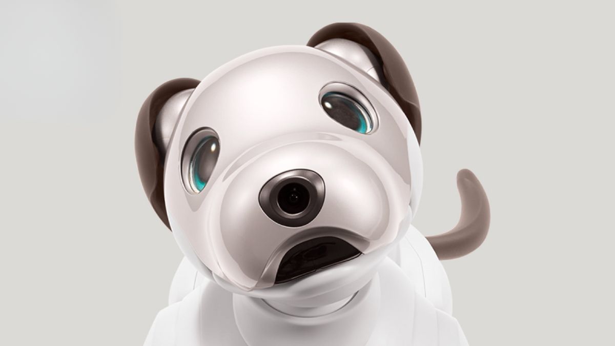 Sony Aibo: Japanese Giant Introduces AI-Powered Robotic Puppy That 'Grows Over Time' As A Family ...